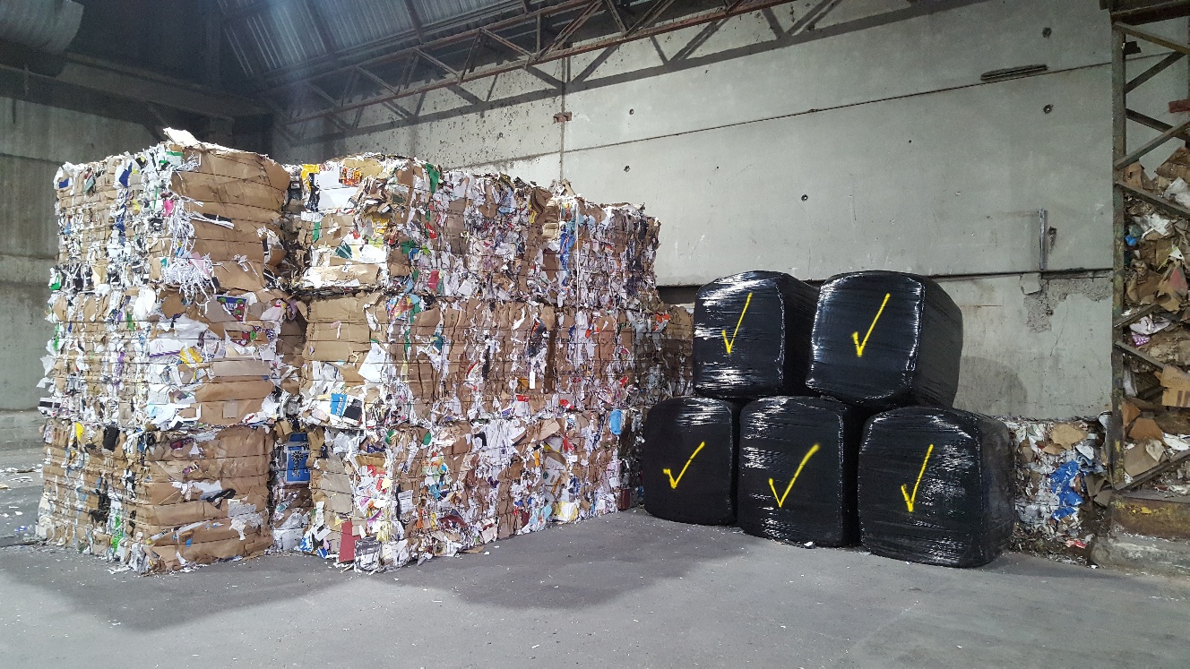 Real-Time Waste Management Insights - Doyle Bros